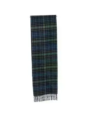 Paul Smith Check-pattern Fringed Scarf - Blue