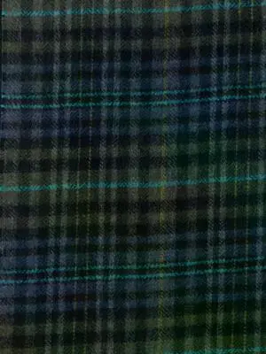 Paul Smith Check-pattern Fringed Scarf