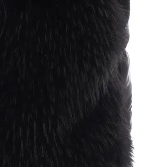 Moncler Button-up Padded Gilet - Black