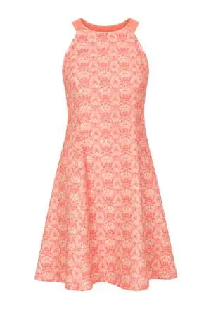 CONQUISTA Coral Lace Fit & Flare Dress