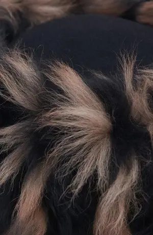 VALENTINO GARAVANI Genuine Rabbit Hair & Wool Felt Hat