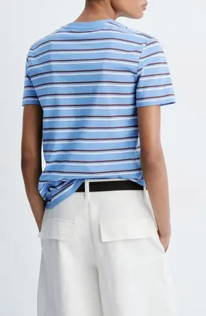 Mango Stripe Cotton T-shirt - Blue