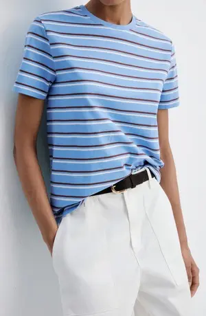 Mango Stripe Cotton T-shirt - Blue