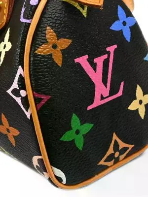 LOUIS VUITTON Multicolor Speedy Mini Bag