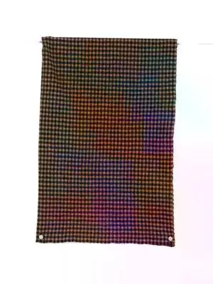 DANIELA GREGIS Check Cashmere Scarf - Brown