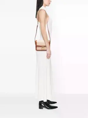 Celine 2022 Classique Canvas And Calfskin Triomphe Crossbody Bag