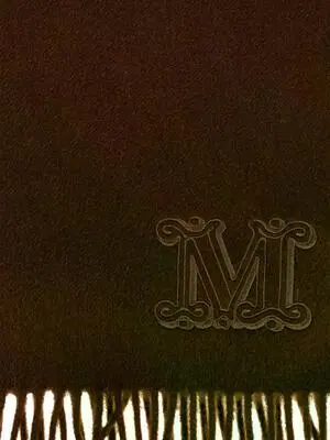 Max Mara Cashmere Stole With Monogram Embroidery Rust
