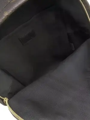 LOUIS VUITTON 2019 Monogram Reverse Palm Springs Pm Backpack