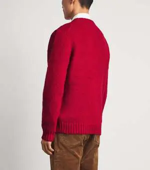 Polo Ralph Lauren Wool Martini Bear Sweater