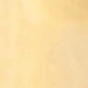 VIVIENNE WESTWOOD Faux Pearl Putti Choker