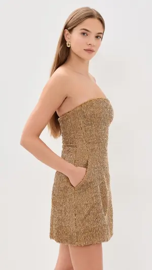 Bardot Florine Hourglass Mini Dress