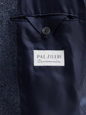 Pal Zileri Sparkle Donegal-effect Dinner Jacket