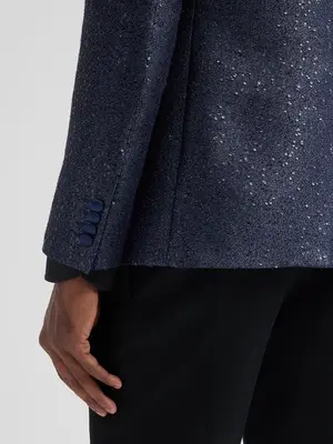 Pal Zileri Sparkle Donegal-effect Dinner Jacket