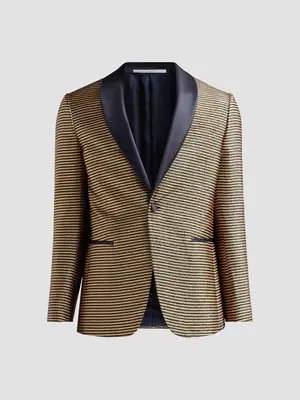 Pal Zileri Metallic Striped Dinner Jacket - Nero