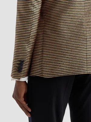 Pal Zileri Metallic Striped Dinner Jacket