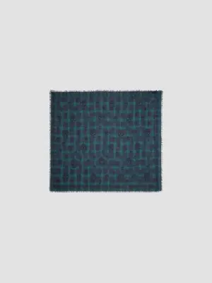 Alexander McQueen Skull Plaid Cotton Scarf