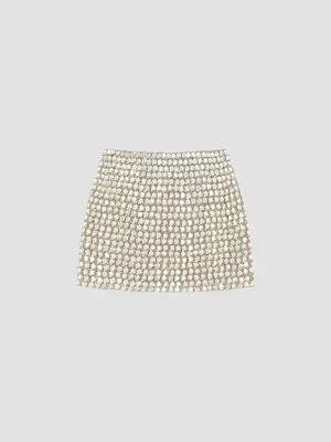 Valentino Garavani Mini Skirt In Embroidered Organza