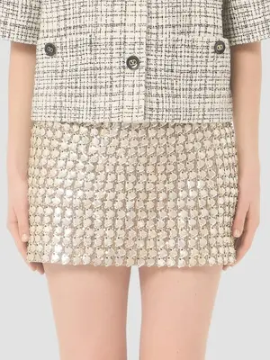 Valentino Garavani Mini Skirt In Embroidered Organza
