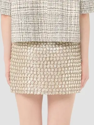 Valentino Garavani Mini Skirt In Embroidered Organza