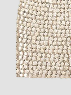 Valentino Garavani Mini Skirt In Embroidered Organza