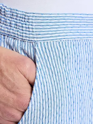 Robert Graham Fornillo Striped Shorts