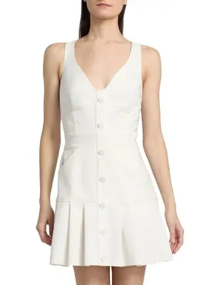 Ramy Brook Olana Drop-waist Minidress