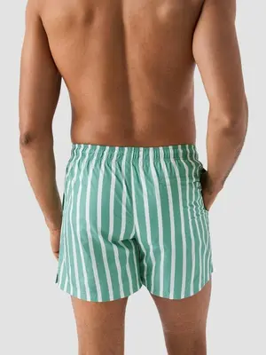 Eton Striped Swim Shorts