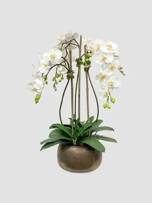 WINWARD HOME Newness Artificial Orchid Floral Arranget - White