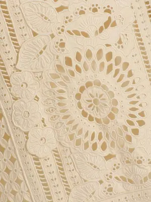 Zimmermann Indra Embroidered Lace Minidress