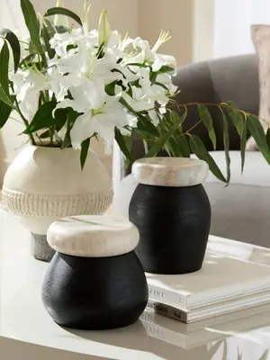 ARTERIORS Noelle Mango Wood & Marble Containers