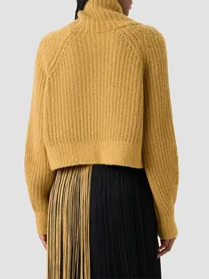 Akris Chunky Knit Turtleneck Sweater