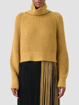 Akris Chunky Knit Turtleneck Sweater