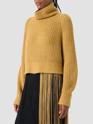 Akris Chunky Knit Turtleneck Sweater