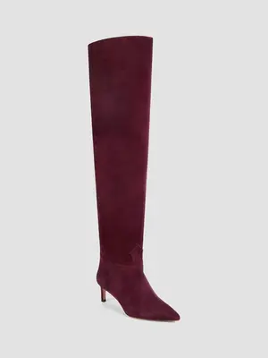 Ulla Johnson Carolina Slouchy 55mm Over-the-knee Suede Boots