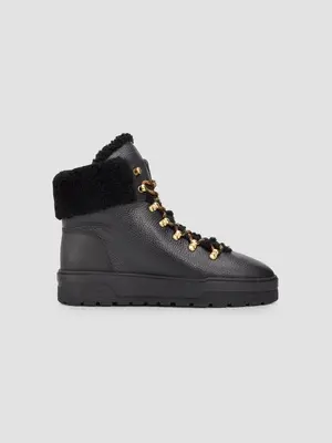 POLLINI Lace-up Ankle Boots - Black