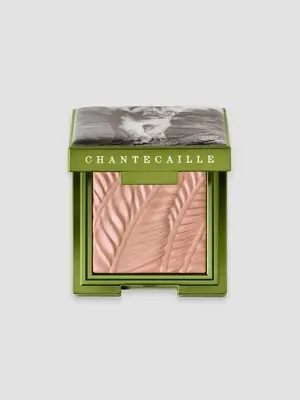 CHANTECAILLE Narika Eye Shade Eyeshadow Narika
