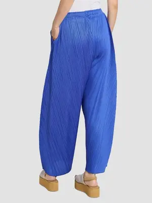 Issey Miyake Coast Pleated Pants