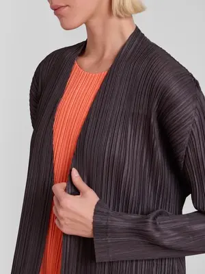 Issey Miyake Pleats Single-button Jacket