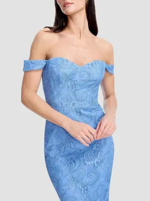 Dress The Population Dorothy Lace Off-the-shoulder Column Gown