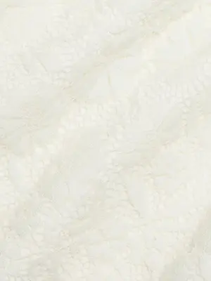 A.L.C. Eliana Lace Strapless Minidress