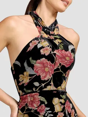 Dress The Population Brighton Velvet Floral Halterneck Maxi Dress
