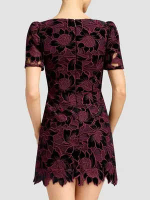 Dress The Population Clarke Bow-front Velvet Lace Mini Dress