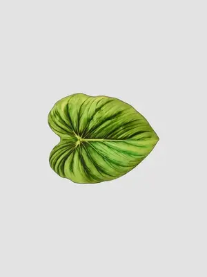 KIM SEYBERT Tropicana Placemat - Green