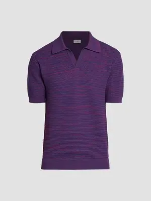 Etro Roma Knit Polo Shirt