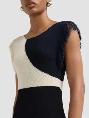 Proenza Schouler Saskia Colorblocked Fringe Dress