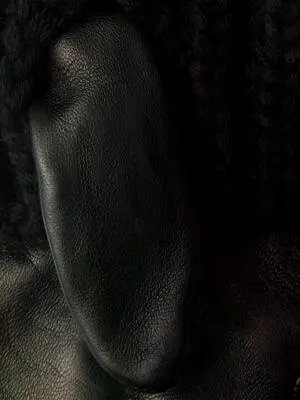 Prada Nappa Leather And Knit Gloves