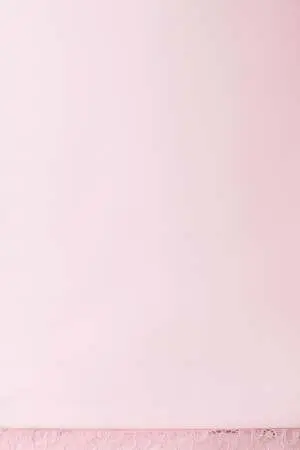 Meshki Althea Lace Trimmed Top - Pink