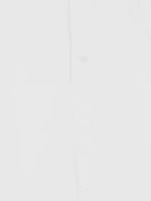 Corneliani Spread-collar Long-sleeve Shirt