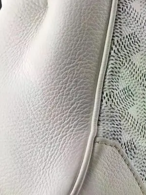 Goyard Saigon Top Handle Bag Coated Canvas With Leather Mini Shoulder Bag - White