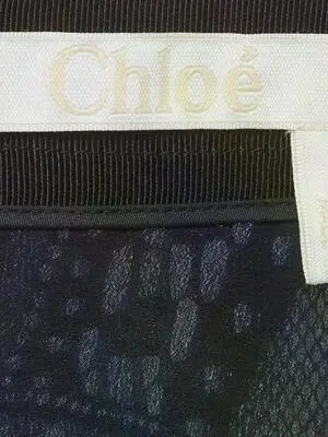 Chloé Asymmetric Lace Midi Skirt